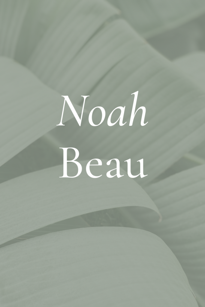 105+ Precious Middle Names for Noah That'll Melt Your Heart