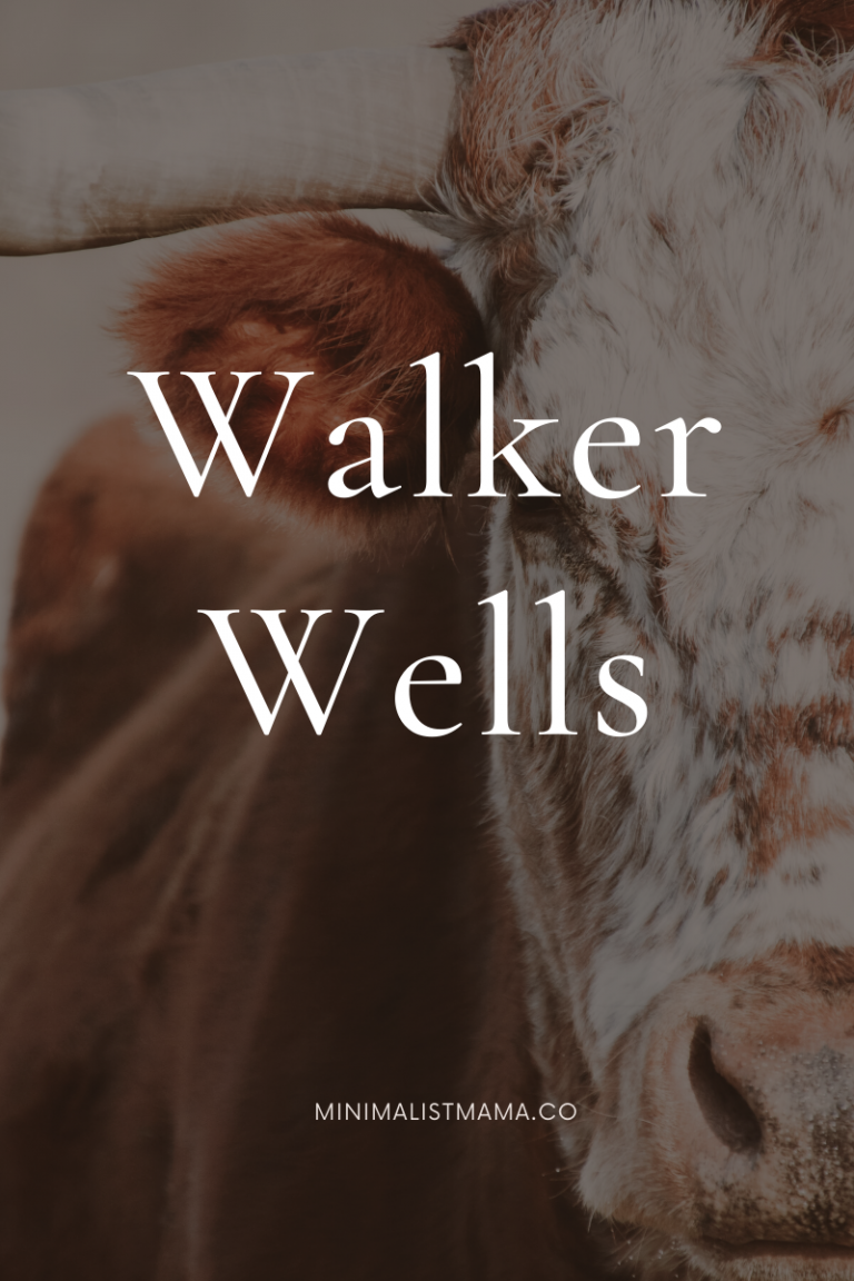165+ Wild and Strong Country Boy Names You Need to Hear