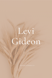 105+ Uncommon *Hand-Picked* Middle Names for Levi You'll Absolutely Adore