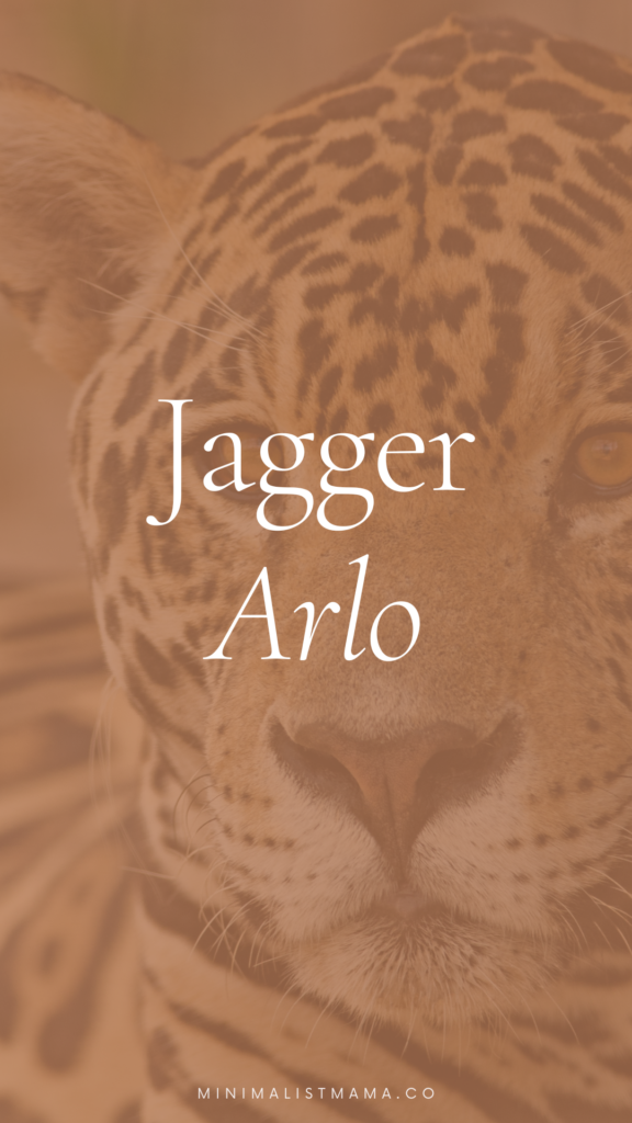 165+ Tough, Badass Boy Names (That You Didn't Know Were In) 2025