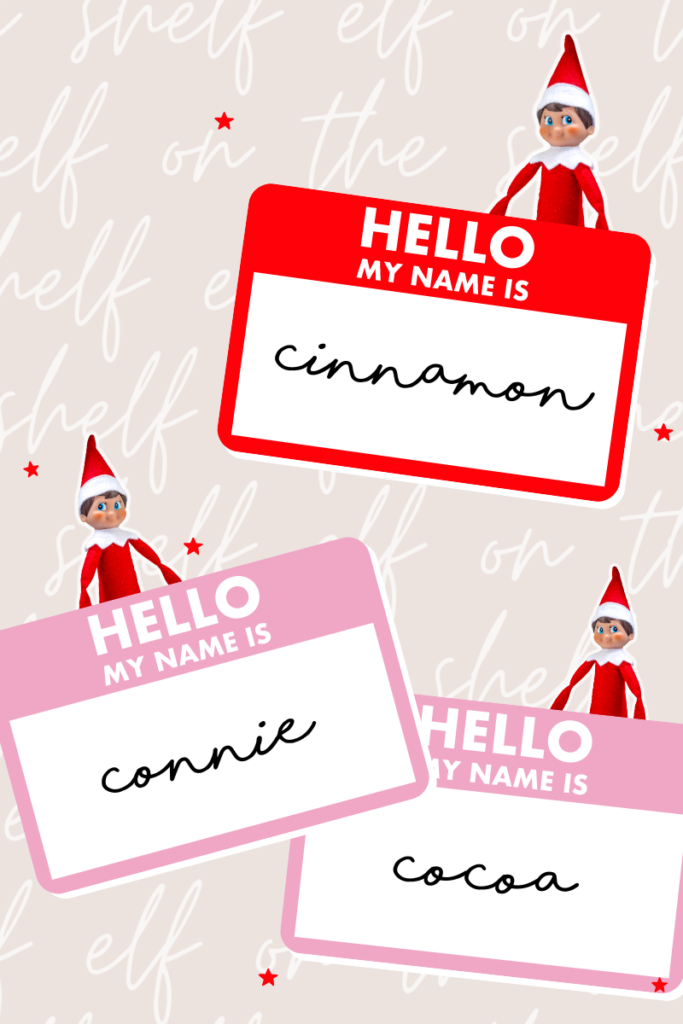 175+ *Genius* Elf on the Shelf Names (That You Haven't Heard) - 2023