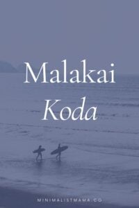 65+ *Cutest* Surfer Boy Names (For Your Beachy Babe) - 2024