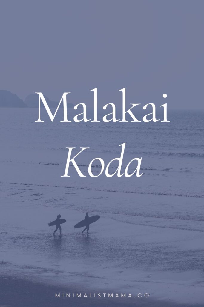 65+ *Cutest* Surfer Boy Names (For Your Beachy Babe) - 2024