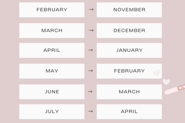 The Essential Pregnancy Fruit Size Chart