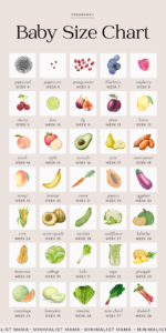 The Essential Pregnancy Fruit Size Chart