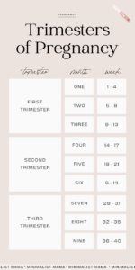The Essential Pregnancy Due Date Chart